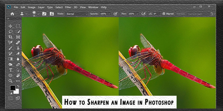 How to Sharpen an Image in Photoshop - Graphic Experts India