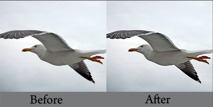 How to Sharpen an Image in Photoshop - Graphic Experts India