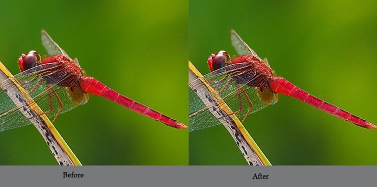 How to Sharpen an Image in Photoshop - Graphic Experts India