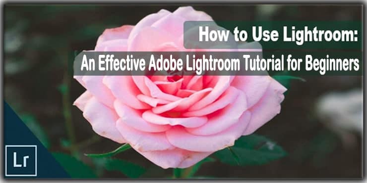 How to Use Lightroom: An Effective Adobe Lightroom Tutorial