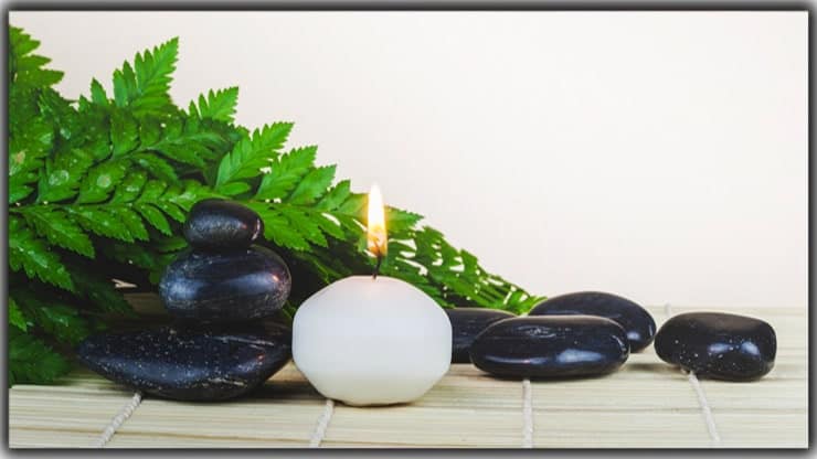 Still Life Photography - The Ultimate Guide to Get Started