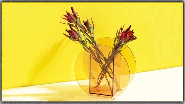 Still Life Photography - The Ultimate Guide to Get Started