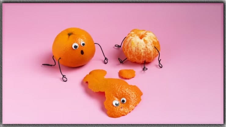 Still Life Photography - The Ultimate Guide to Get Started