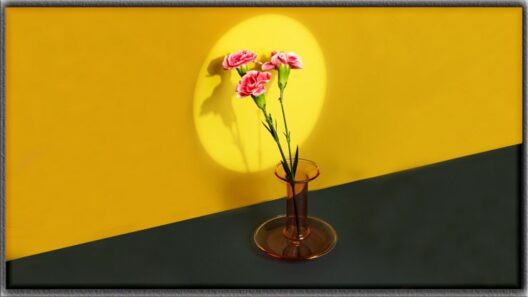 Still Life Photography - The Ultimate Guide to Get Started